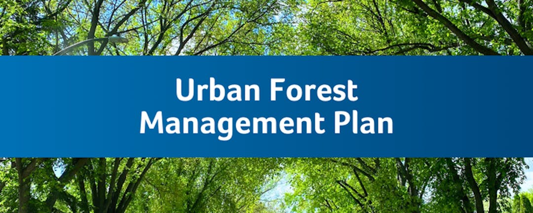 Urban Forest Management Plan | Be Heard Regina